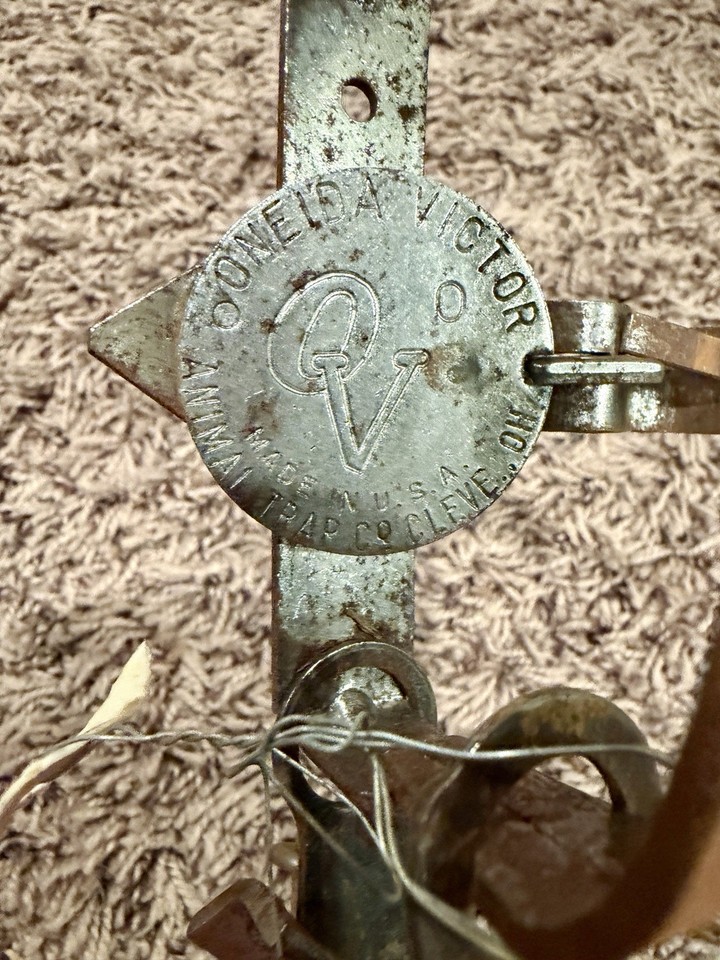 Vintage Oneida Victor #0 Spring Trap- Cleveland Ohio | eBay