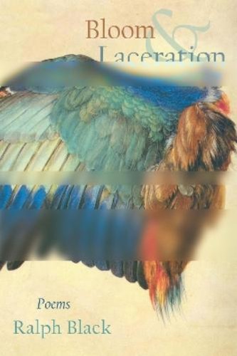 Ralph Black Bloom and Laceration (Paperback) (US IMPORT) 9780999499573 ...