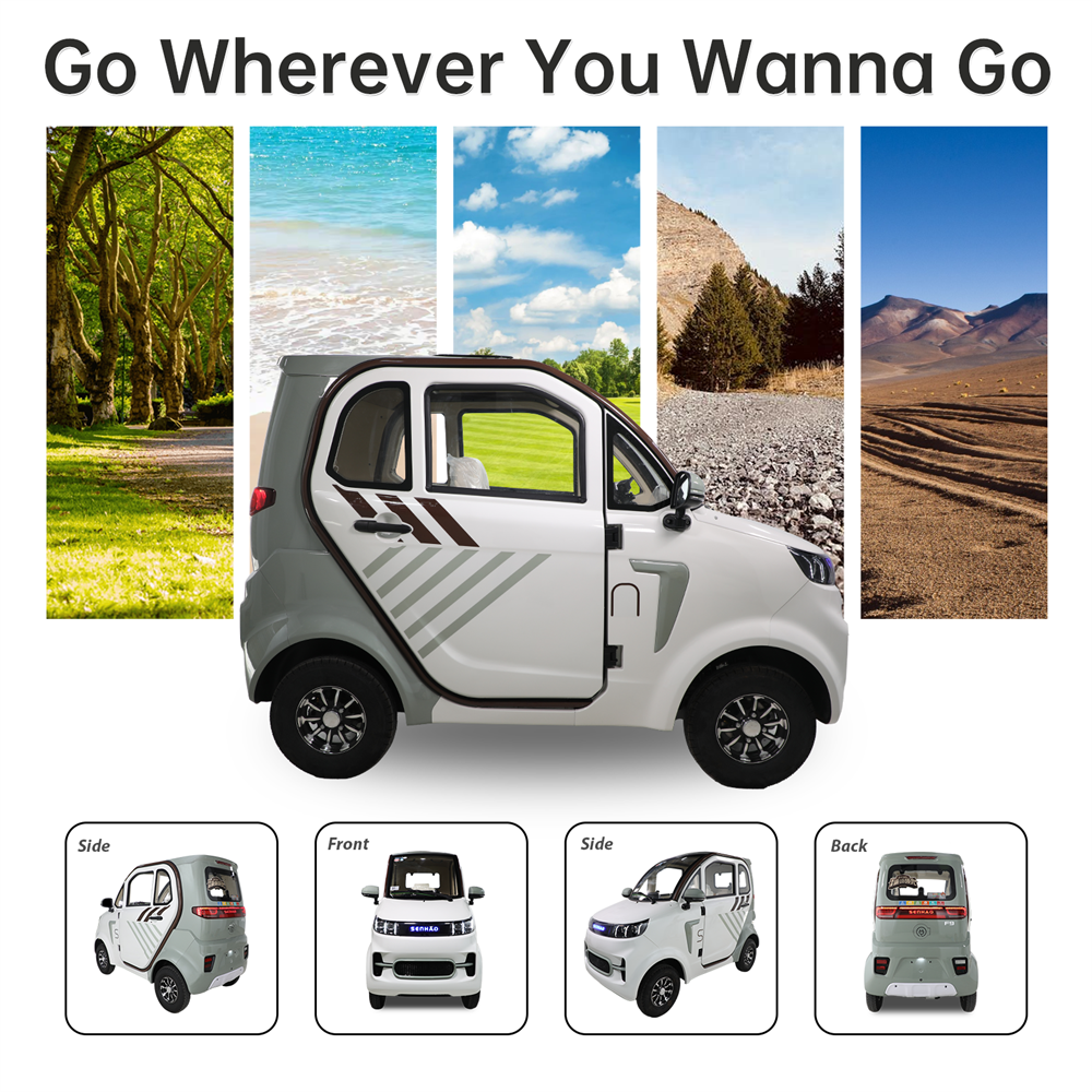 Fully Enclosed Mobility Scooter 4 Wheel Car 1500W 3-Speed 40 Mile 660lb ...