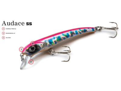 Molix Audace 5.5cm 2.5g Sinking Lure Jerkbait Trout Perch Bass NEW ...
