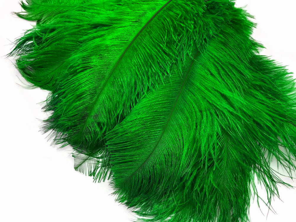 10 Pieces - 8-10" Kelly Green Ostrich Dyed Drabs Feathers Halloween ...