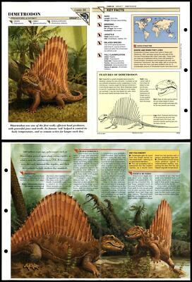 Dimetrodon #30 Extinct Wildlife Fact File Fold-Out Card | eBay