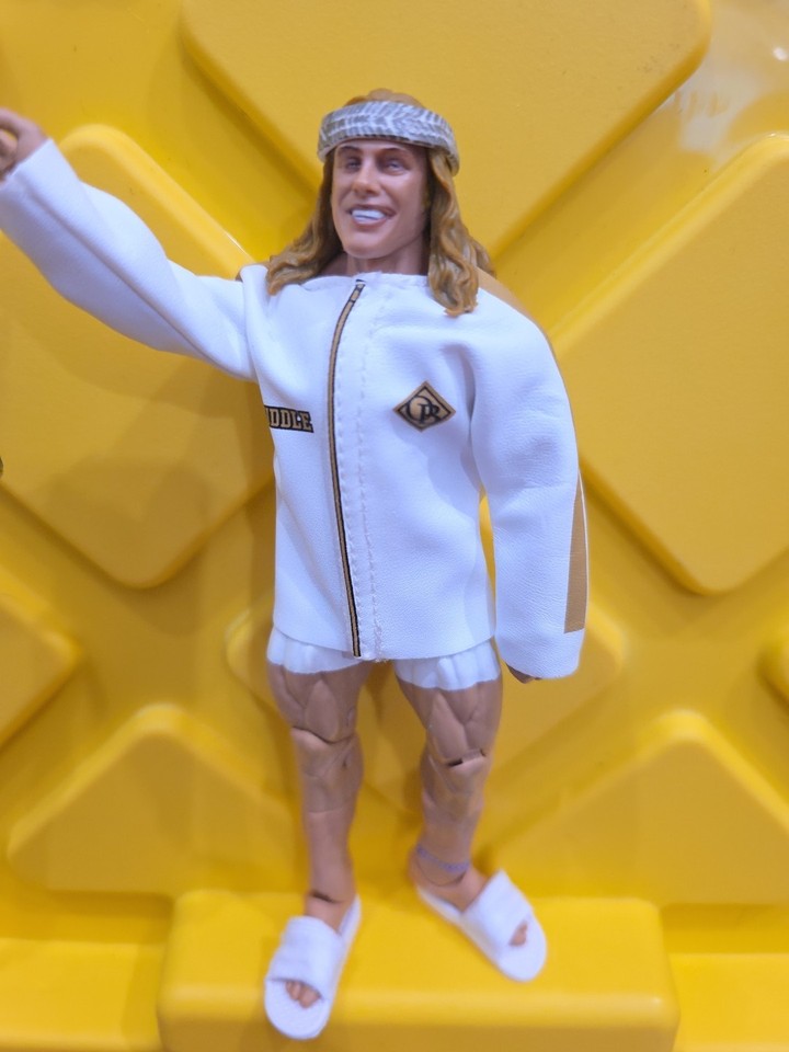 Matt Riddle WWE Mattel Elite Series 78 Wrestling Figure NXT Original ...