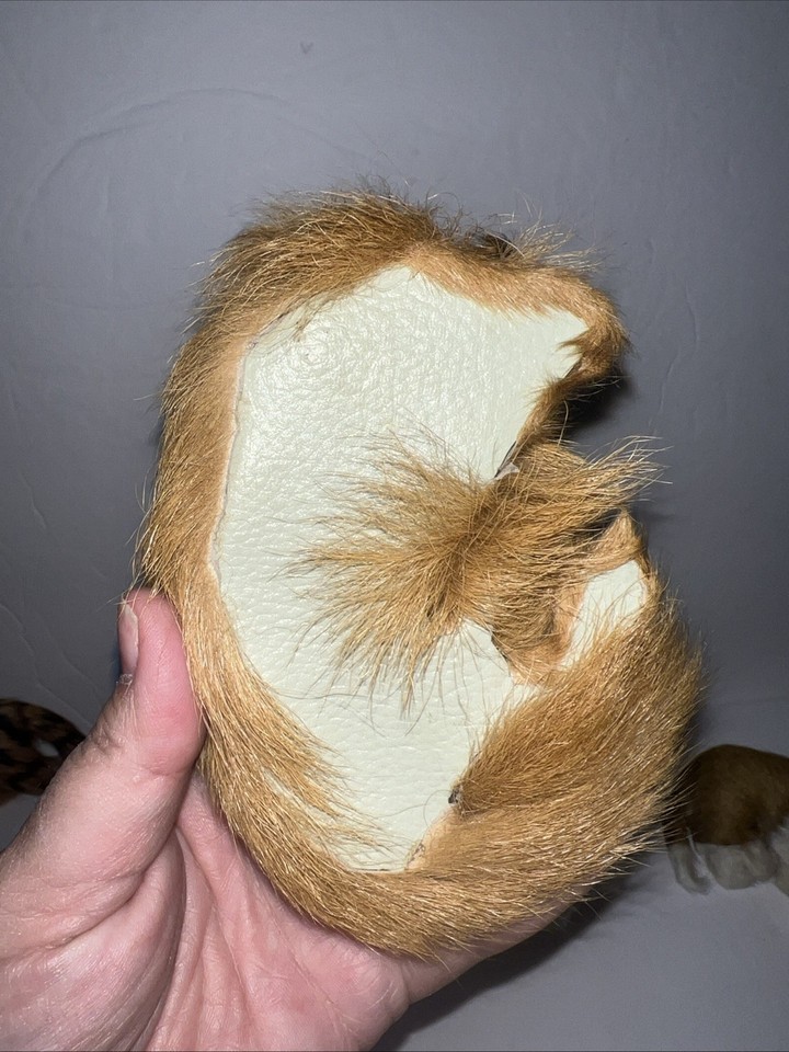 Vintage Rabbit/ Goat Taxidermy Style Fur Animal Lot X7 | eBay