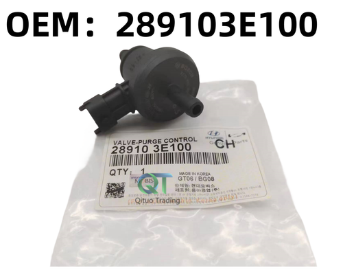 NEW 289103E100 Purge Control Valve For Hyundai Santa Fe 2.7L : 2006 ...