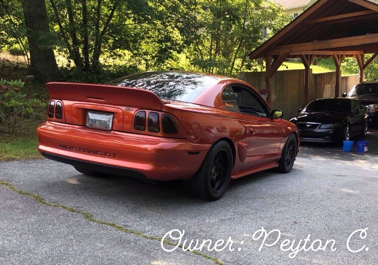 03/04 Cobra Wing On Sn95, 58% OFF | einvoice.fpt.com.vn