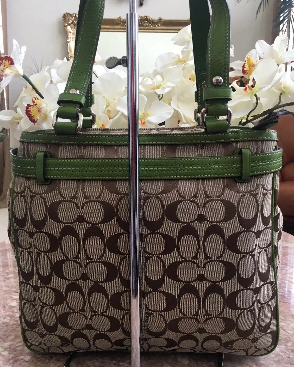 COACH NANCY SIGNATURE KHAKI GREEN ZEBRA STRIPE MEDIUM… - Gem