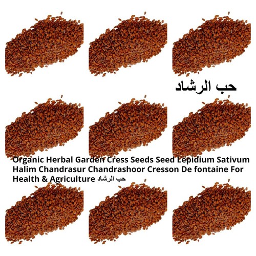 500g Garden Cress Seeds.Lepidium Sativum Halim Chandrasur Chandrashoor ...