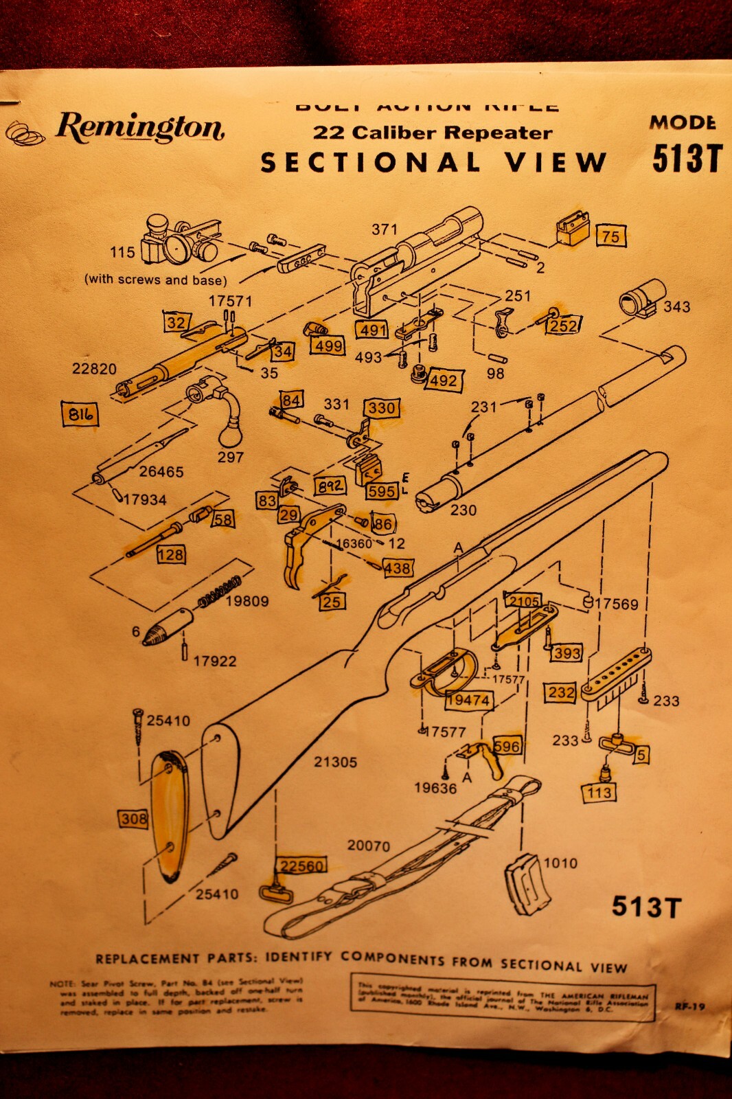Remington 513T .22 Rifle - Extractor - RIGHT #34 | eBay