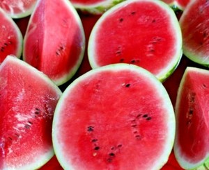 50+ SEEDS SUGAR BABY WATERMELON SUPER SWEET FRUIT HEIRLOOM NON-GMO ...