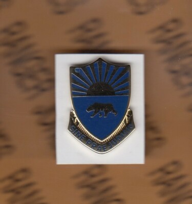 US Army 508th MILITARY POLICE BN MP crest DUI badge c/b clutchback V-21 ...