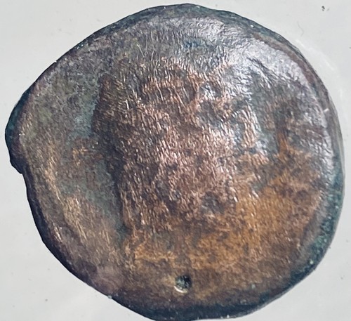 Extremely Rare 30BC Coin Roman Province Baetica Carteia Augustus Apollo ...