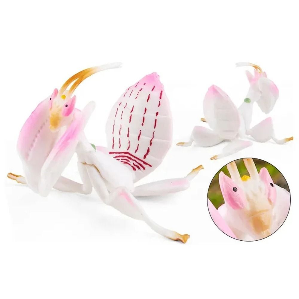 Educational Simulated Insect Ornaments Praying Mantis Models Teaching ...