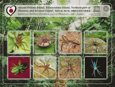 Postcard Japan Spiders in Yanbaru (Northern Park of Okinawa) UNESCO ...