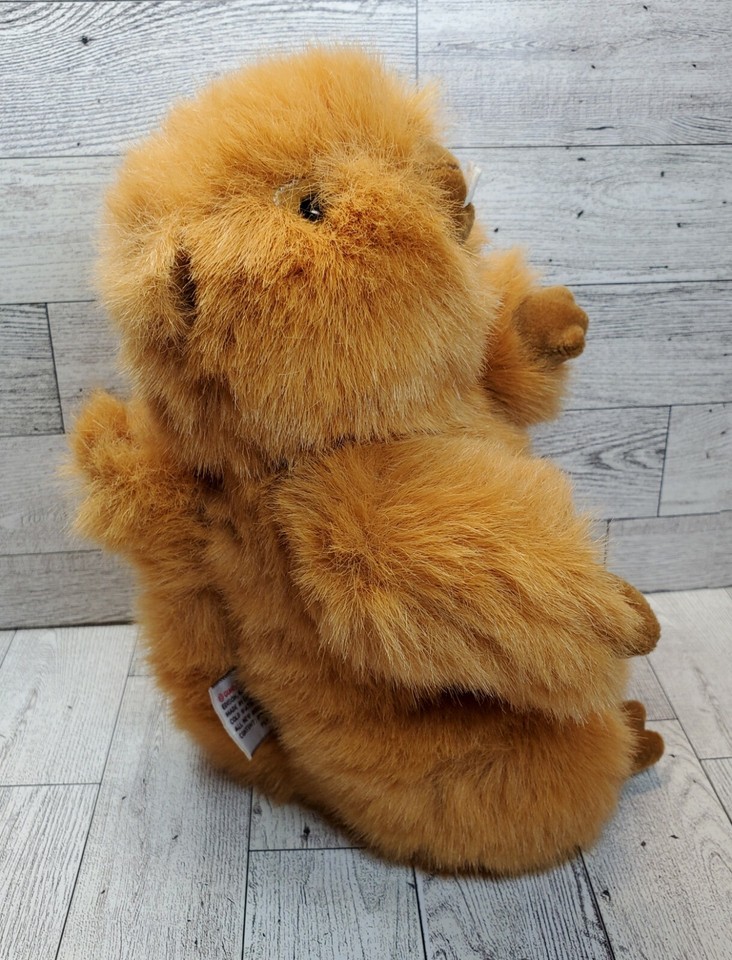 10” Gund Kohls Cares Groundhog Woodchuck Gopher Beaver Plush Stuffed ...