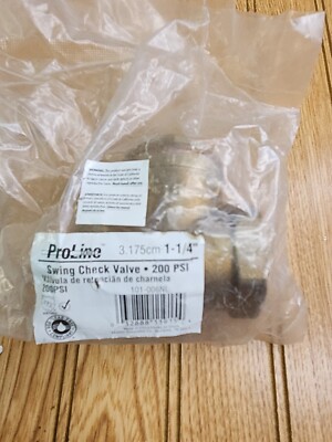 ProLine 101-006NL Swing Check Valve 200 PSI 1 1/4" | eBay