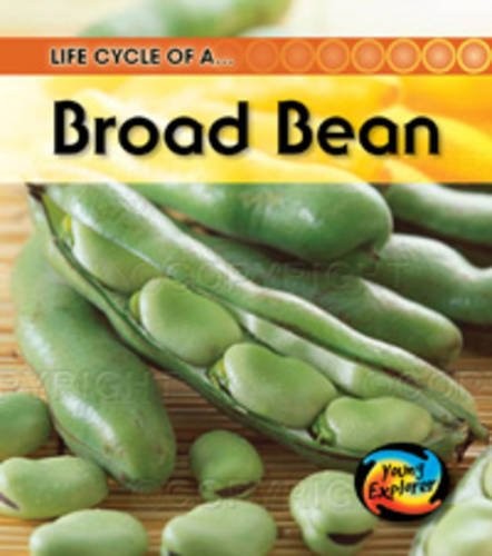 Life Cycle of a Broad Bean (Young Explorer: Life Cycles) By Roys | eBay