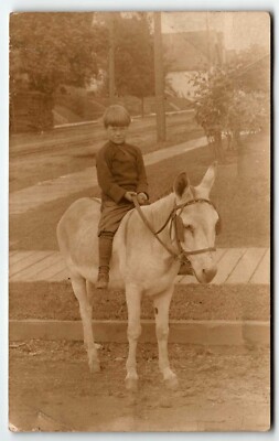 RPPC Postcard Young boy riding mule | eBay