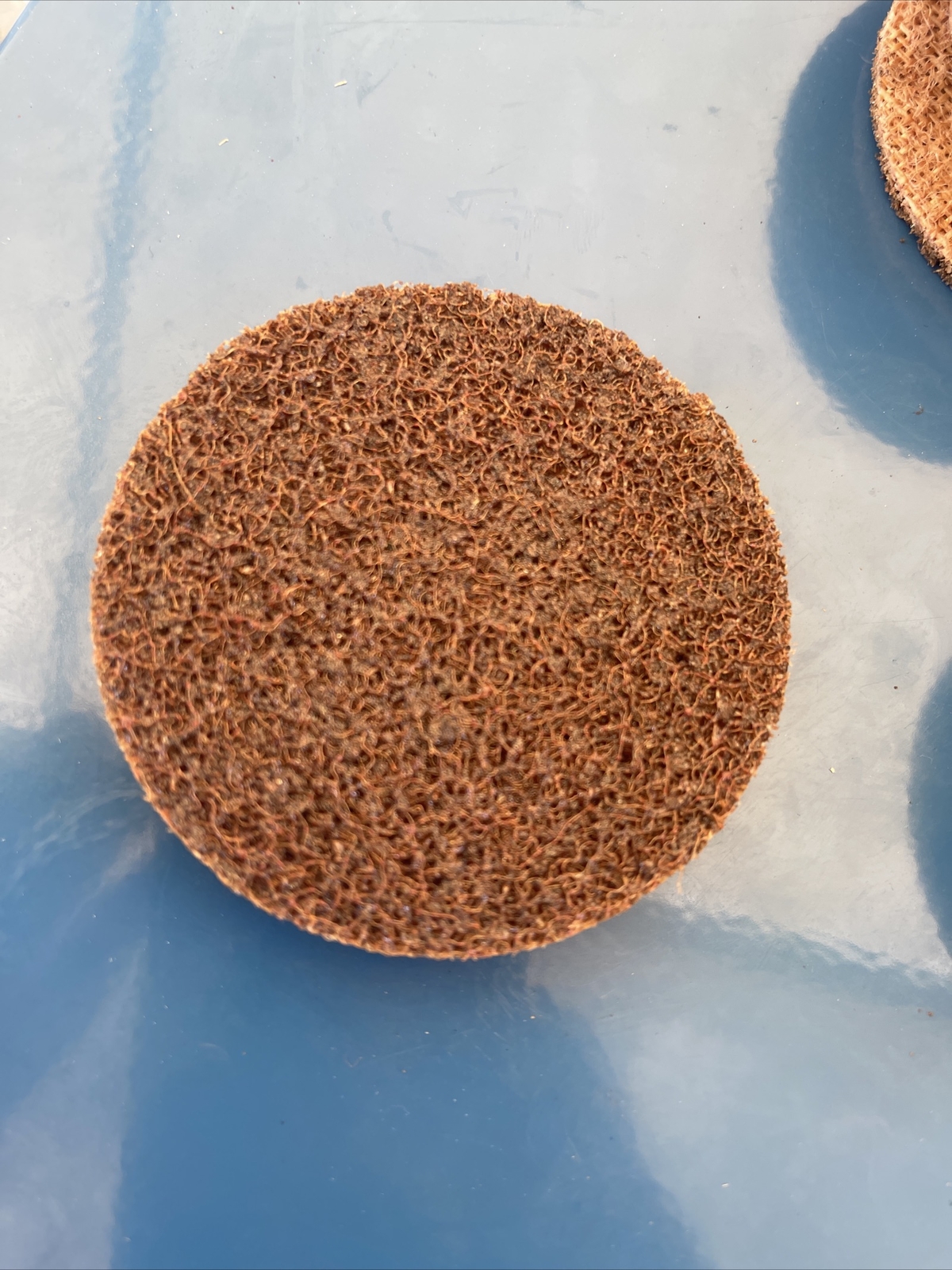 3M Scotch-Brite Roloc Surface Cond. Disc, 3”. A CRS. 048011-5532 | eBay