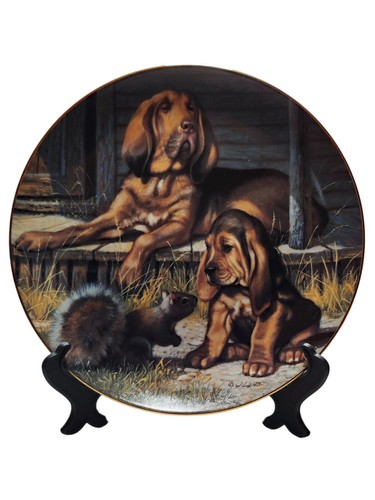 Ceramic Plate Featuring Hunting Dog Perfect for Collectors Gift or Home ...