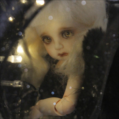 DOLLMORE 1/6BJD Dear Doll Girl - Awakening Crow : Shabee - LE10(Full ...