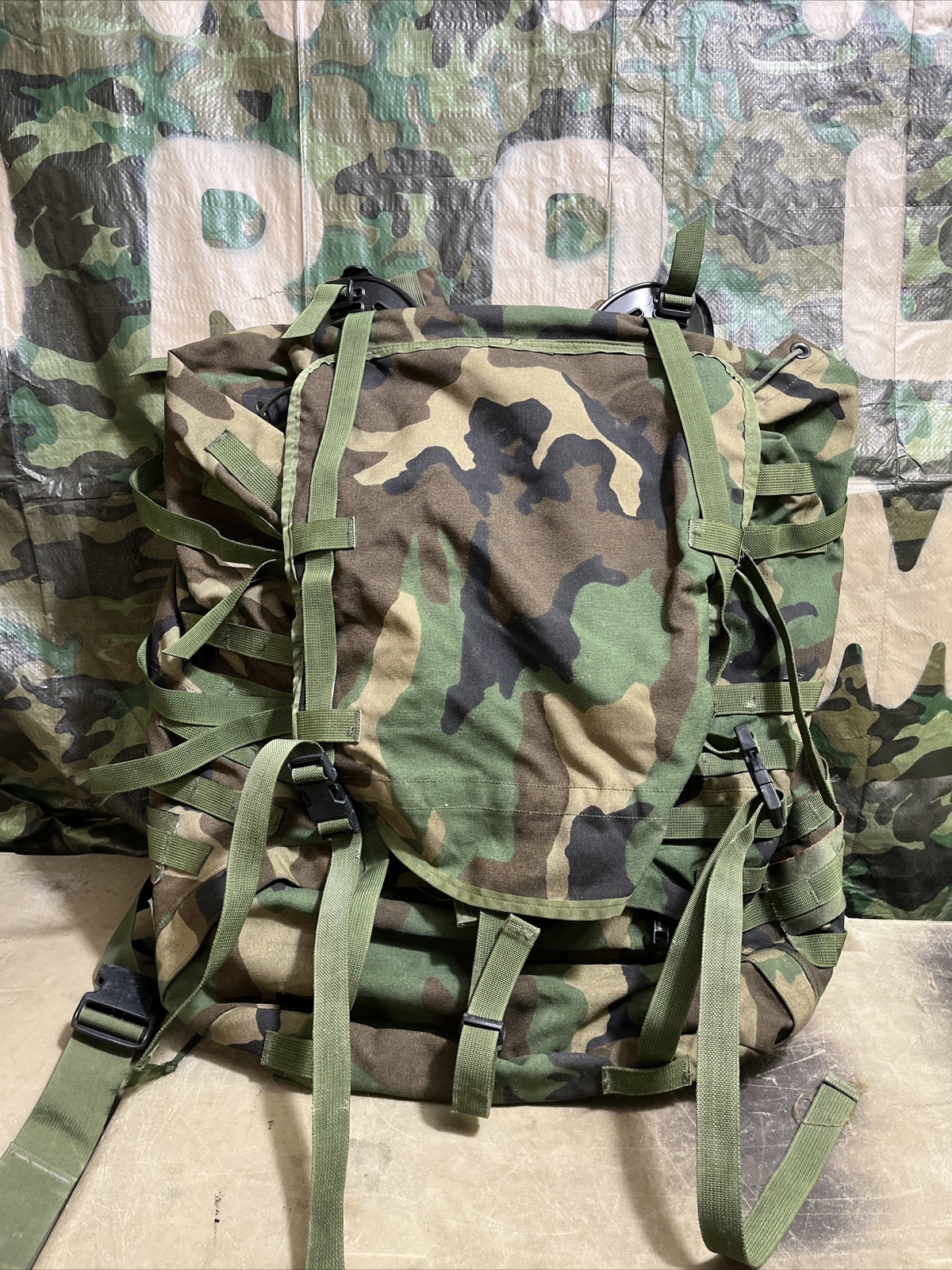Specialty Defense Systems M81 Woodland Molle 10th Mountain Ruck | eBay