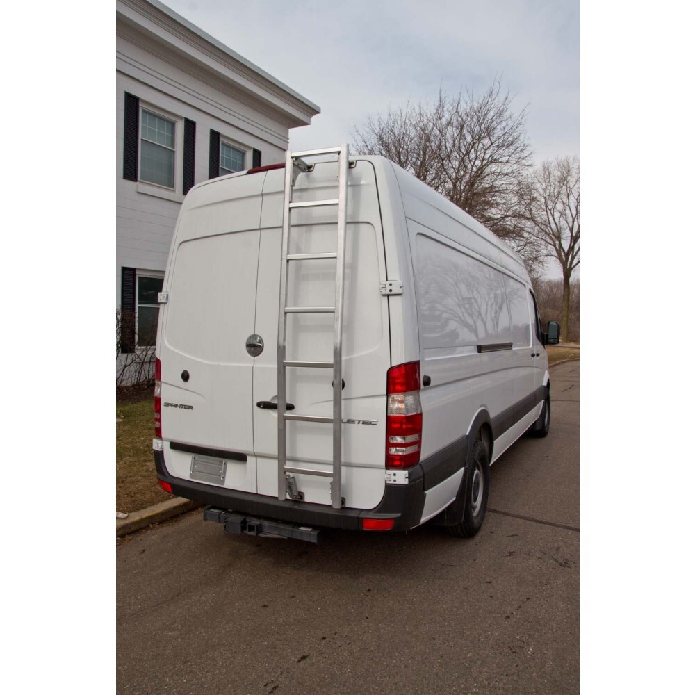 Prime Design Van Rear Door Access Ladder for RAM ProMaster w/High Roof ...
