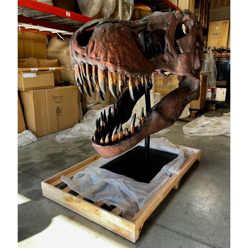 Jumbo T-Rex Skull On Base Life Size Resin Statue Jurassic Theme Prop ...