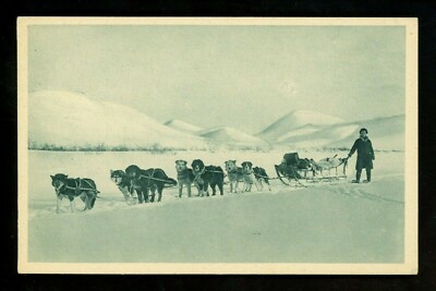 Alaska AK postcard Dog Sled Team husky dogs Vintage | eBay