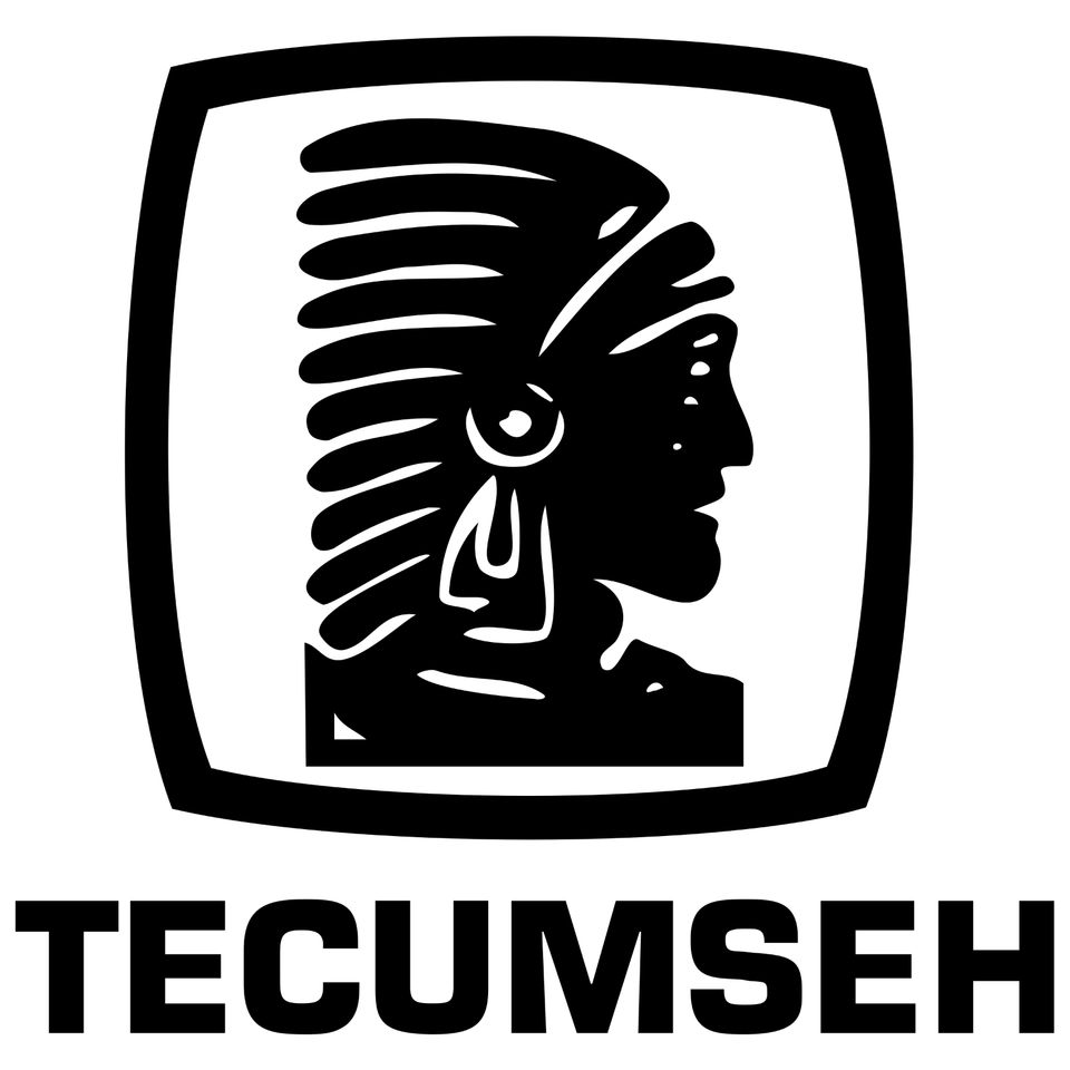 2) NEW Genuine OEM Tecumseh 35355 Fuel Caps 37845 RED | eBay