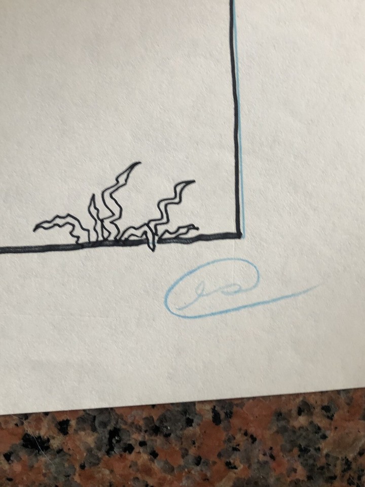 Animal Crackers Comic Strip Rog Bollen Original Strip Big Fish Ocean ...