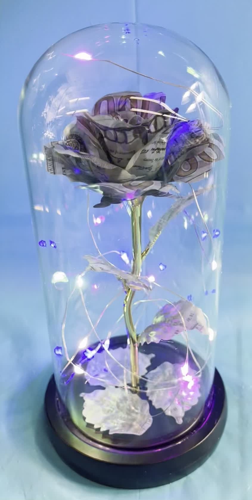 Eternal Rose LED Light,Eternal rose in Glass Dome,Gift For Her,Birthday ...