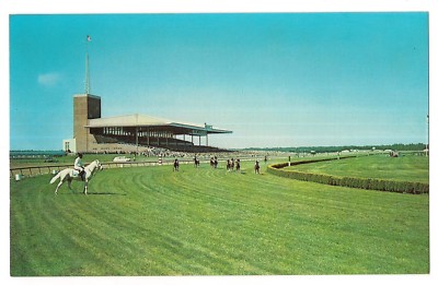 HORSES on Track ATLANTIC CITY RACE COURSE Black Pike NJ Postcard New ...