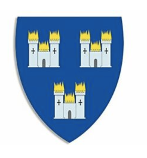 4" DUBLIN COAT OF ARMS SHIELD HELMET BUMPER STICKER DECAL | eBay