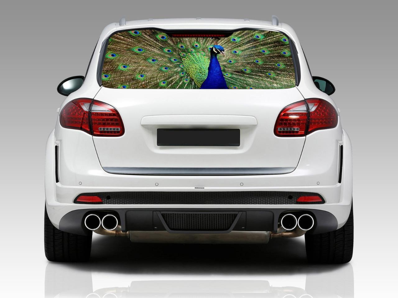 PEACOCK Car Rear Window Decal See-Through Sticker Car Truck SUV Van ...