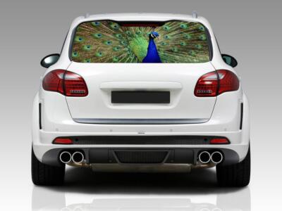 PEACOCK Car Rear Window Decal See-Through Sticker Car Truck SUV Van ...