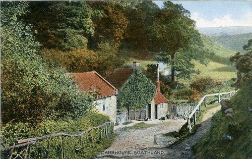 PRINTED POSTCARD OF DARNHOLME, (NEAR GOATHLAND), NORTH YORKSHIRE BY J ...