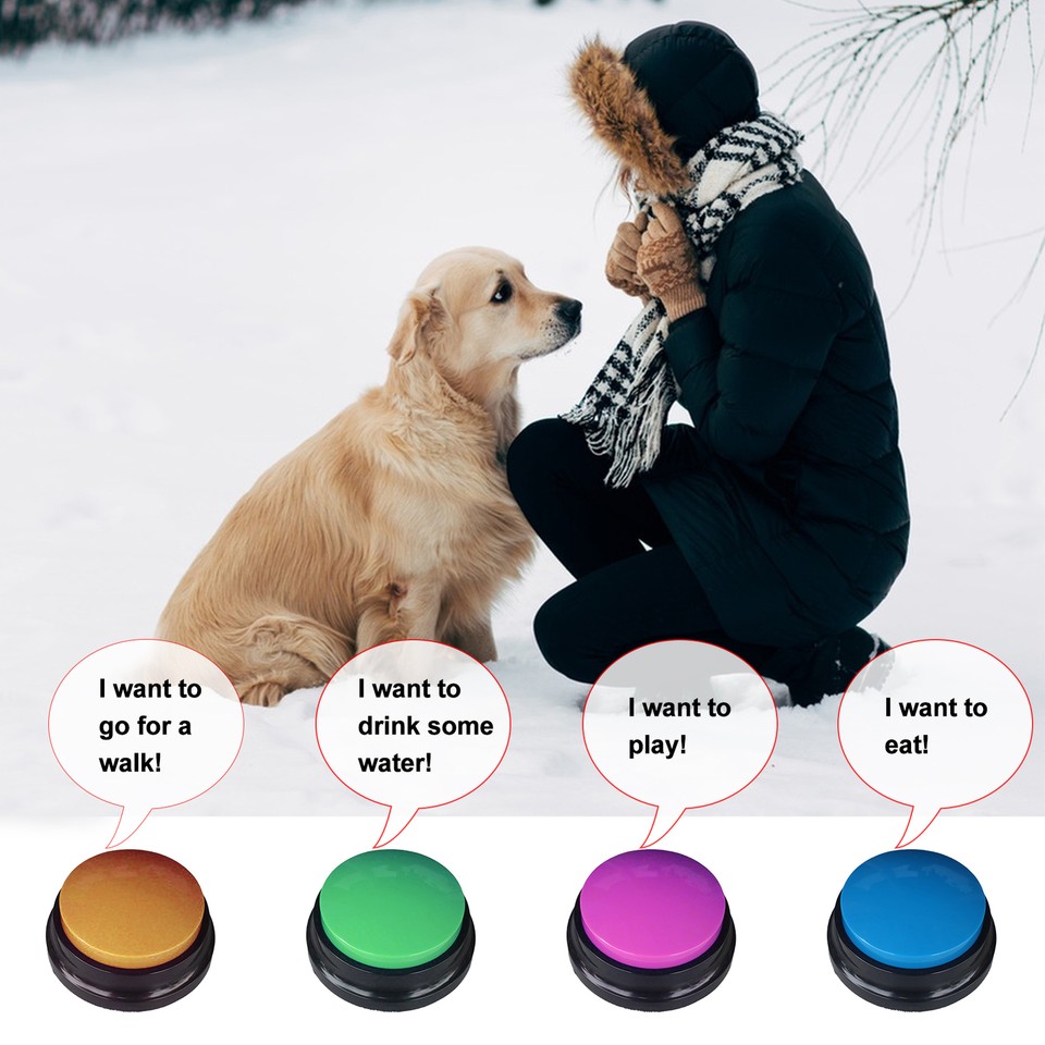 Dog Buttons Training Squeeze Box Interactive Dog B4J8 | eBay