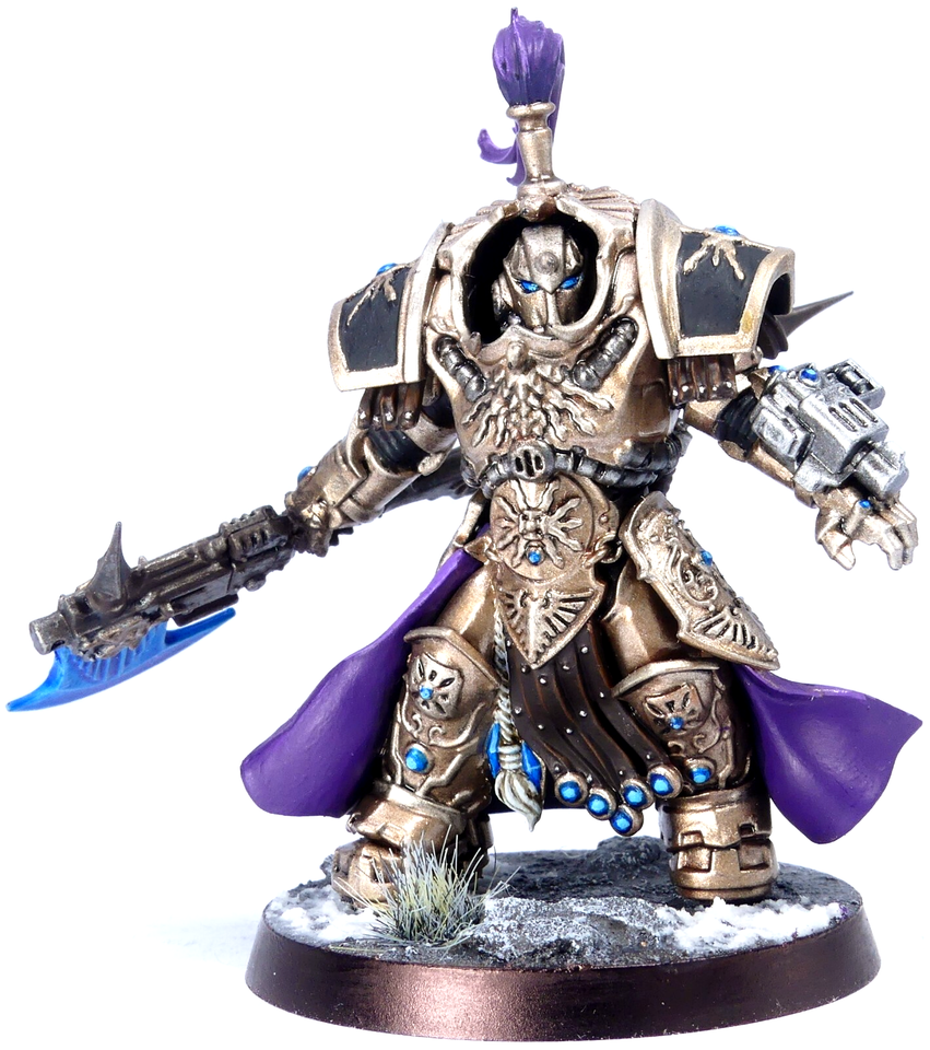 Warhammer 40K Adeptus Custodes Allarus Custodians Terminators | eBay