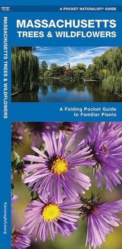 MASSACHUSETTS TREES & WILDFLOWERS: A FOLDING POCKET GUIDE By James ...