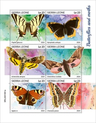 Butterflies and Moths MNH Stamps 2024 Sierra Leone M/S | eBay