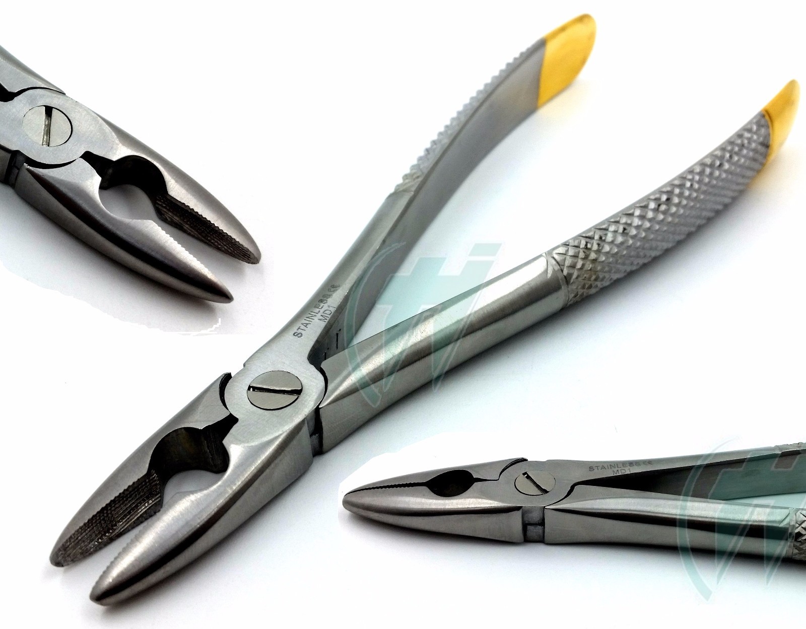 GOLD HANDLE UPPER INCISOR BICUSPID CUSPID DENTAL EXTRACTING FORCEPS ...