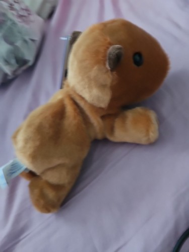 Build-A-Bear Mini Beans Capybara BAB Plush Soft Toy ~ New with Tag | eBay