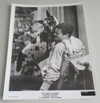 TONY CURTIS in @Col Goodbye Charlie '64 GREAT DANE DOG | eBay