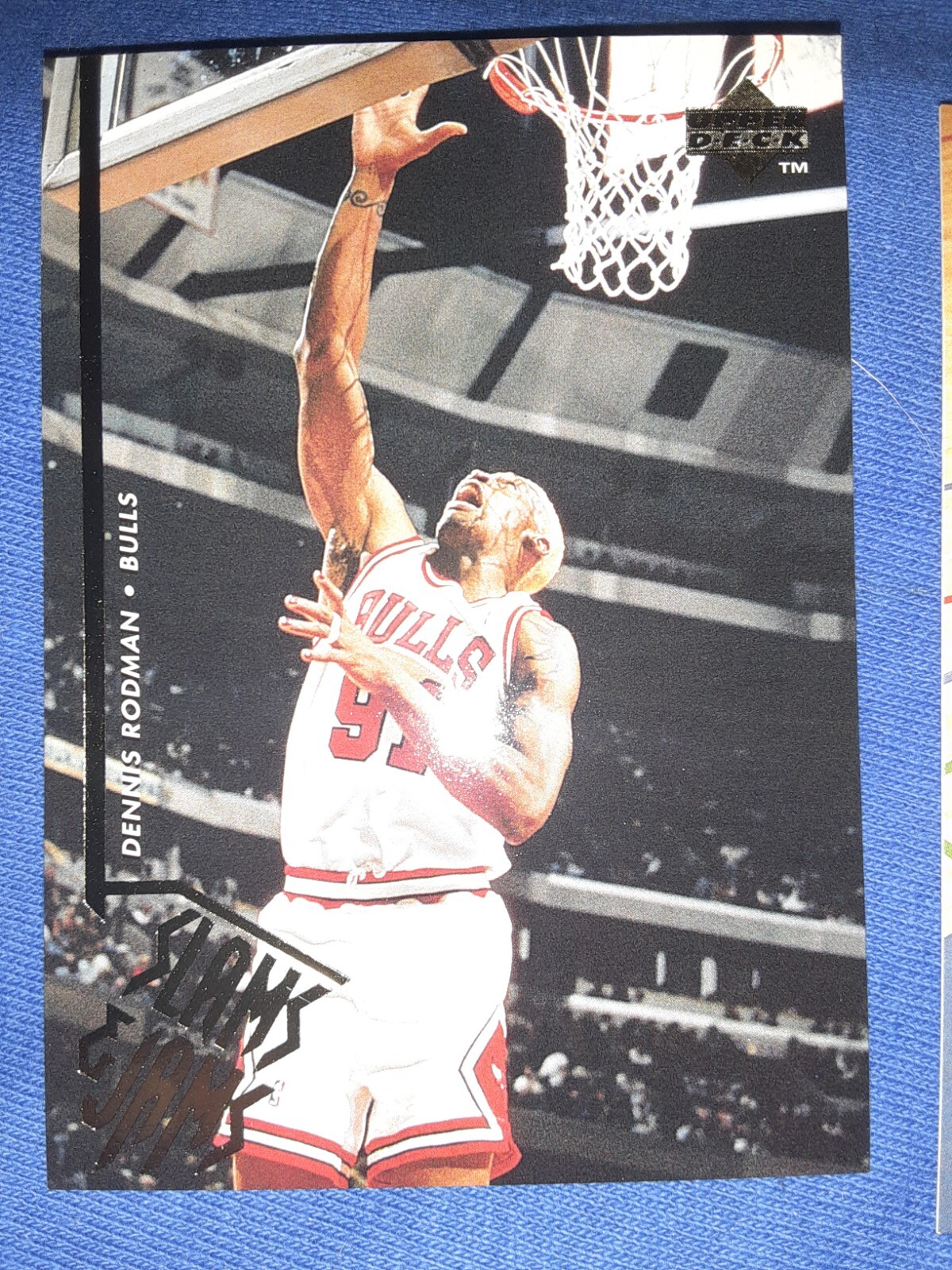 1995-1996 Upper Deck Dennis Rodman #356 Chicago Bulls Electric Court ...