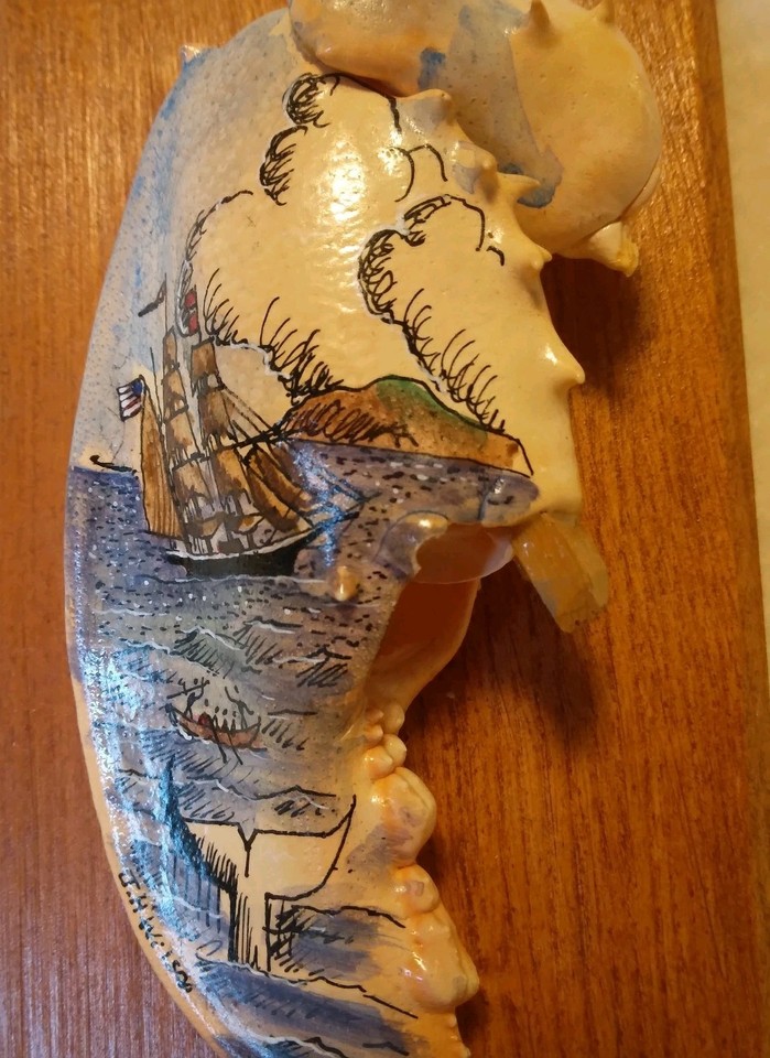 Painted partial Lobster Claw - J. H. Wilson - Julia Homer Wilson ...