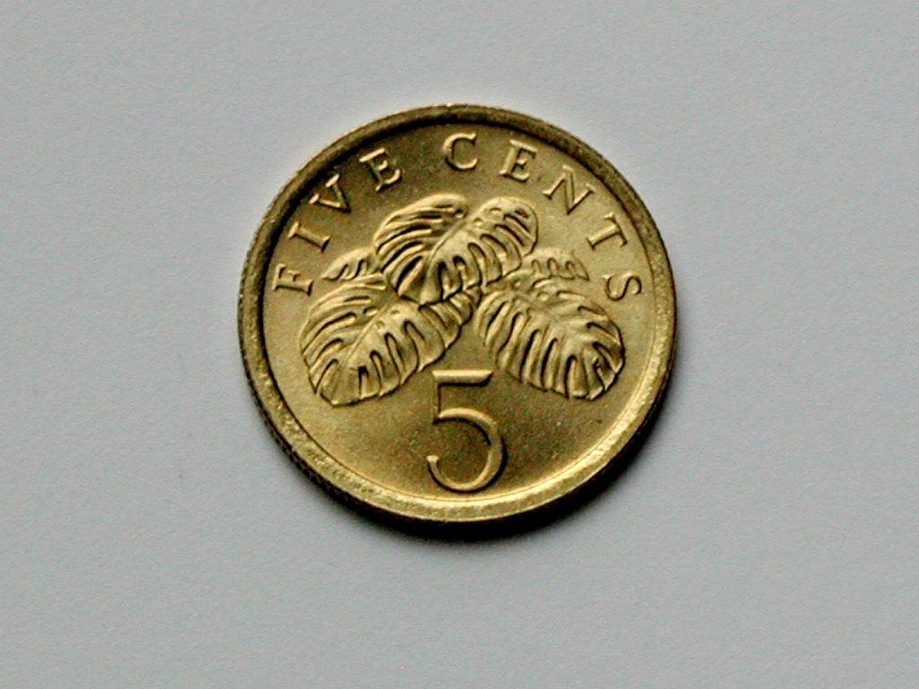 5 Cents Coin