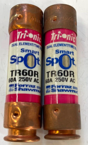 FERRAZ SHAWMUT TRIONIC FUSES #TR60R RK5 TR-R 250V AC 250V DC LOT OF 2 ...