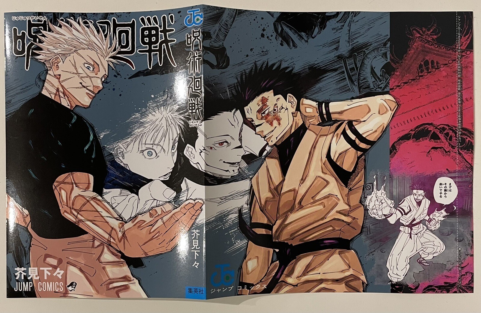 JUJUTSU KAISEN /Jujutsu Kaisen Book | Grelly USA