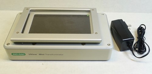 Bio-Rad UView Mini Transilluminator, UV Light Box; Great Condition | eBay